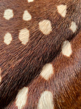 Axis Deer Cowhide Rugs – Cowhides USA