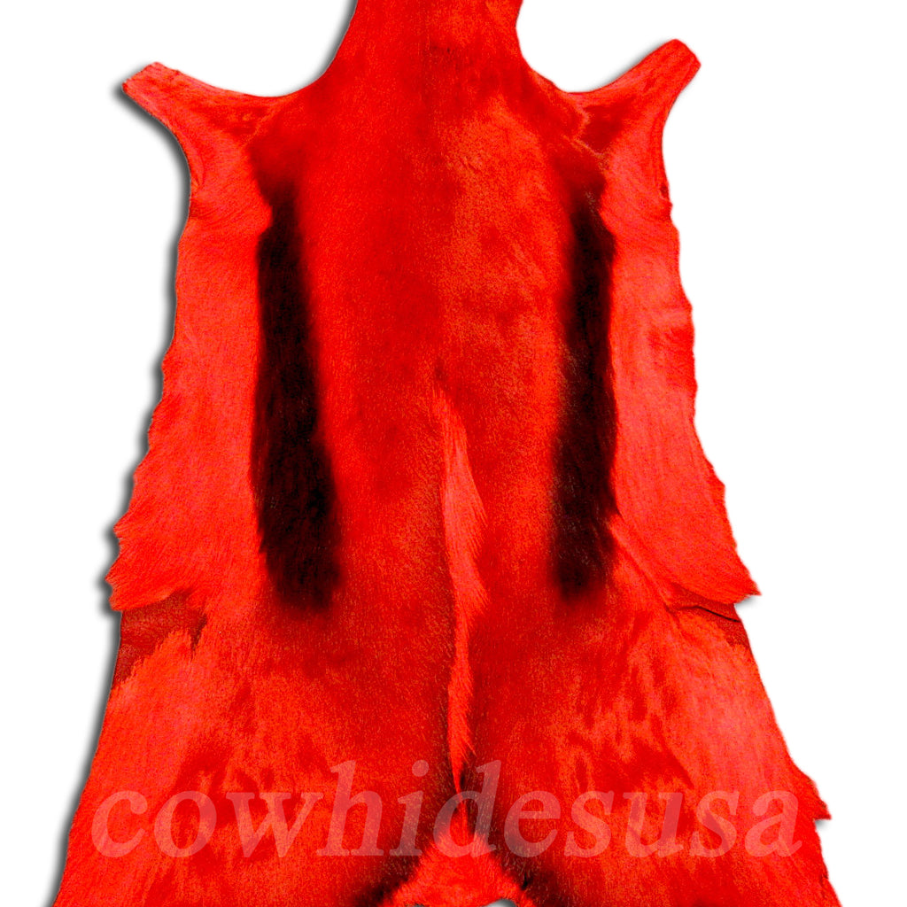 Bright Orange Dyed Springbok Skin – Cowhides USA